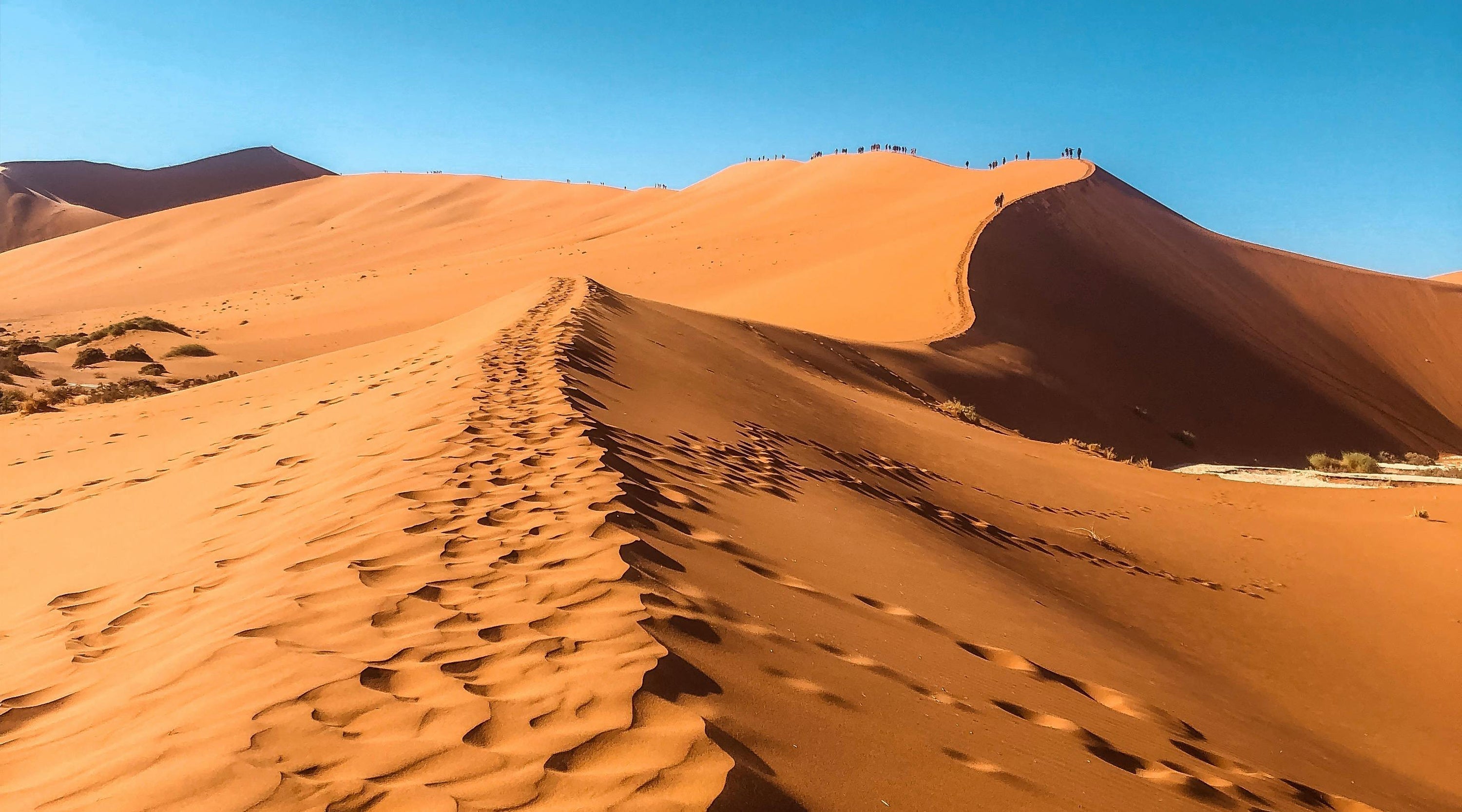Hoanib Valley Camp | Off the Grid in Namibia – LOVE BRAND & Co.